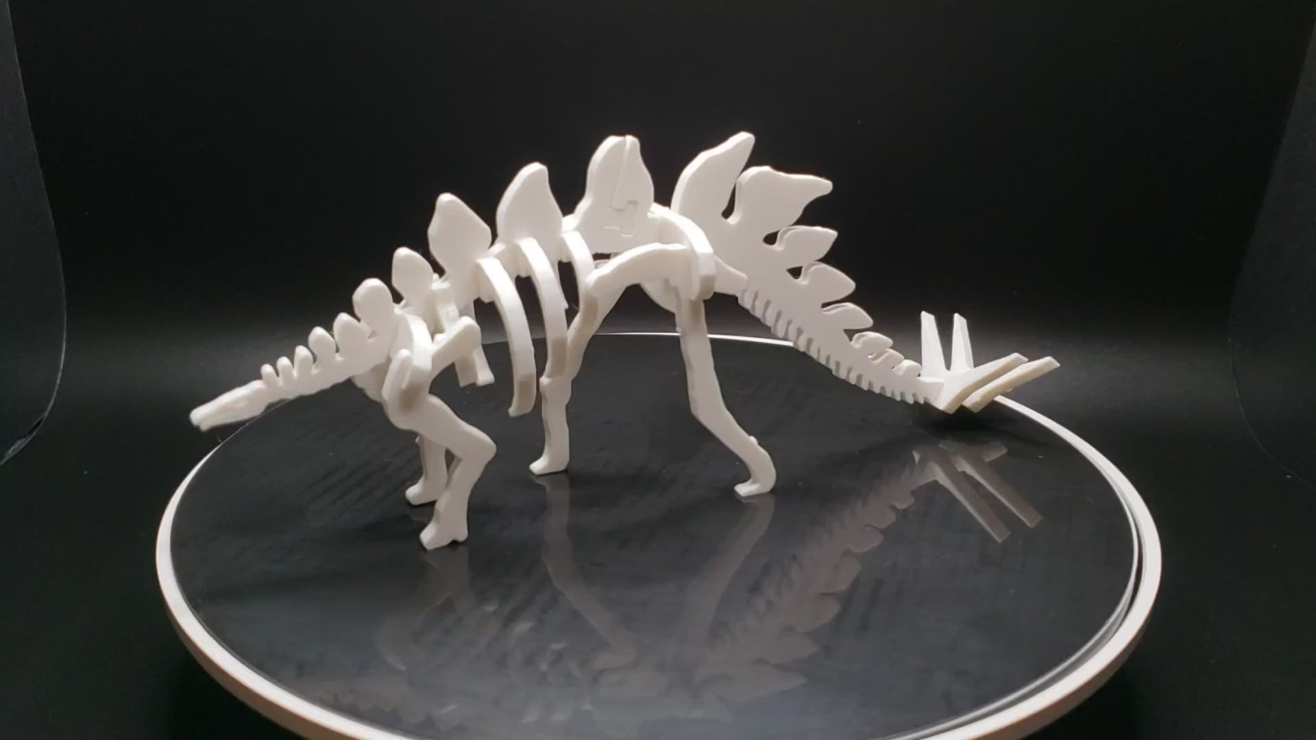 Kit Card - Stegosaurus - Miniature Model – SGM Design Lab